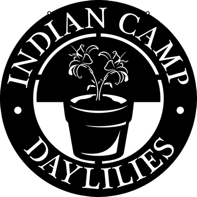 Indian Camp Daylilies